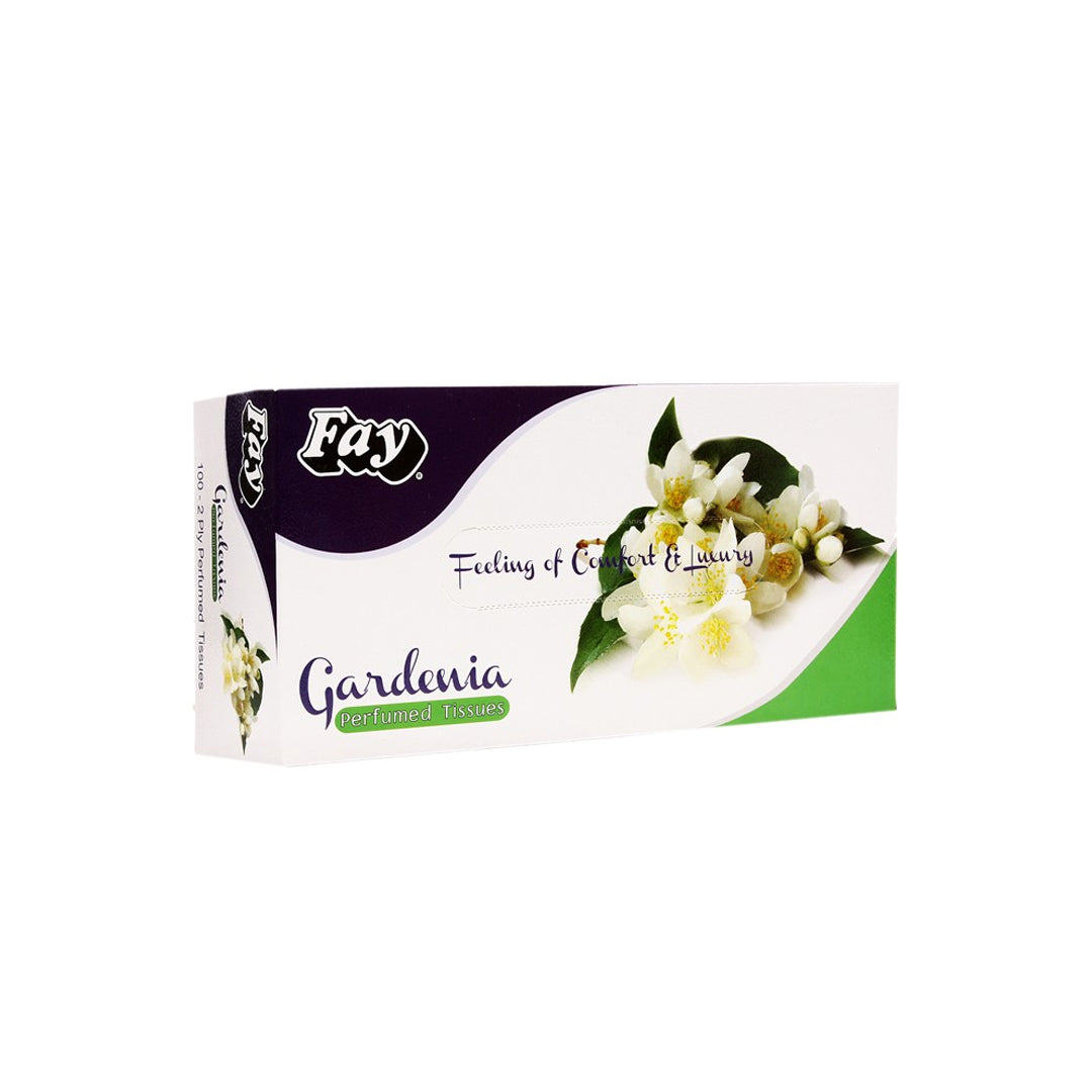 Fay Tissue Gardenia Perfumed 2Ply 100s – Chase Plus Pakistan