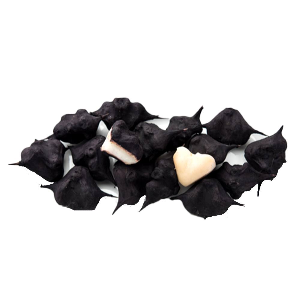 Singara - سنگارا – Chase Plus Pakistan